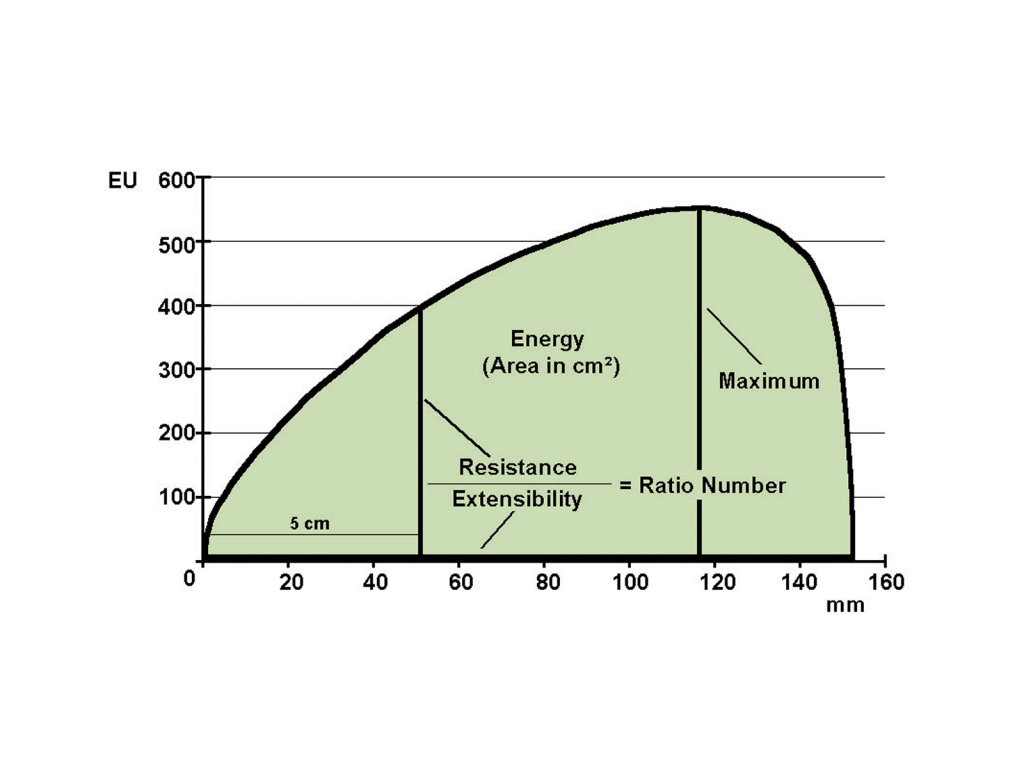 Extensograph-E – Nexus Analytics